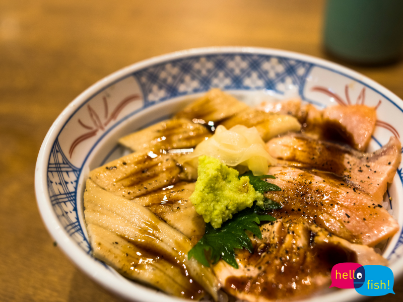 Il grande serpente dei mari: il Grongo | HelloFish