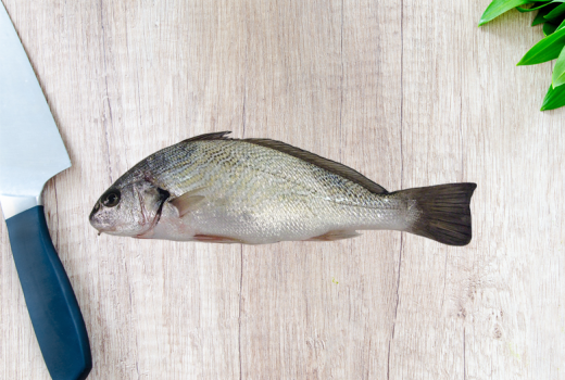 Le ricette Hello Fish | HelloFish